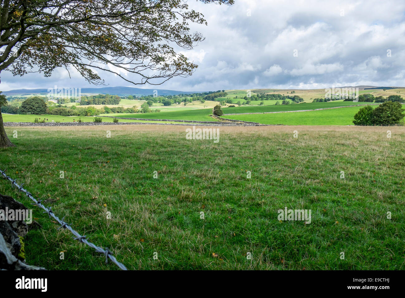 English Countryside looking across meadow land with trees in the ...