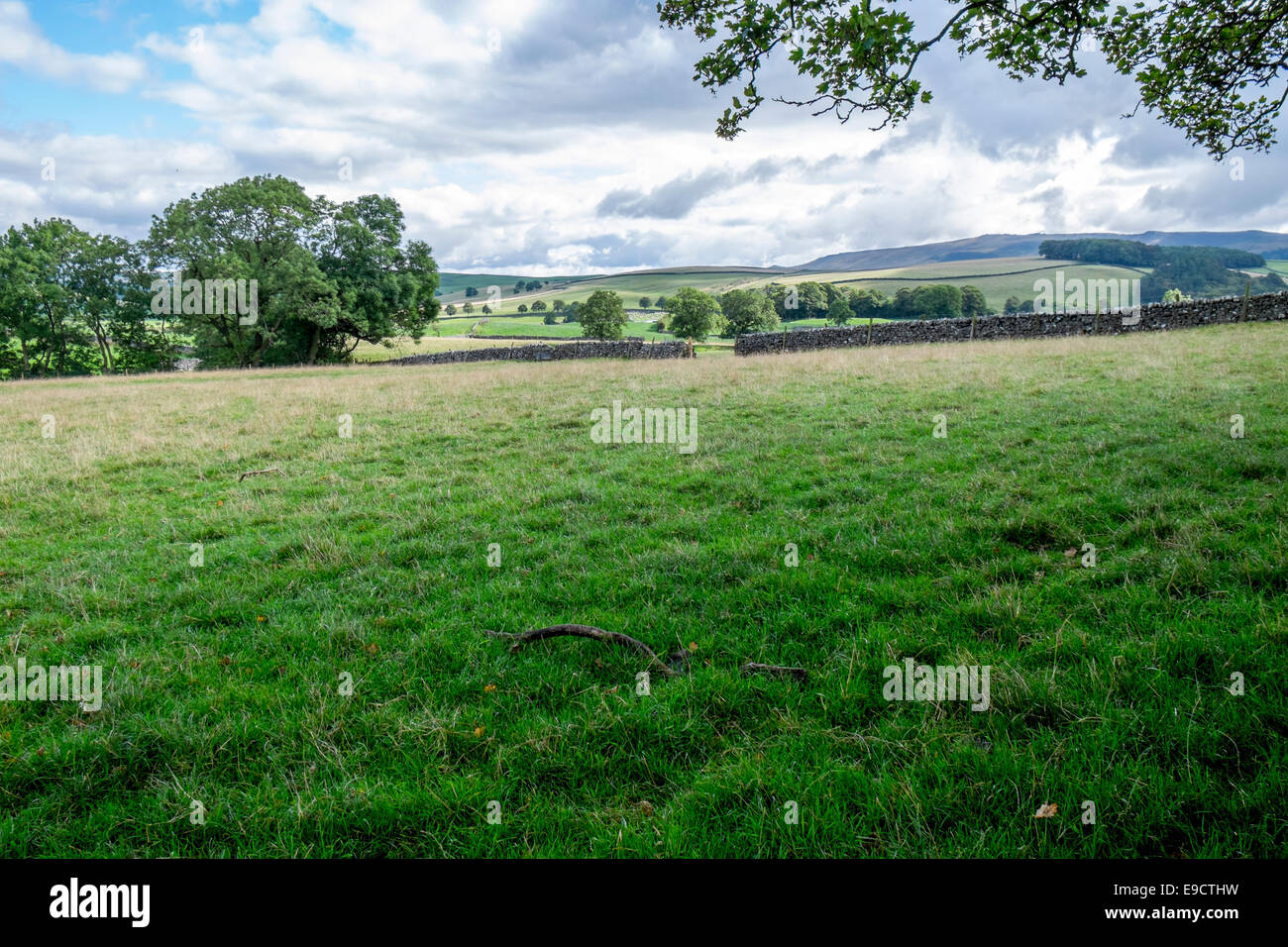 English Countryside looking across meadow land with trees in the ...
