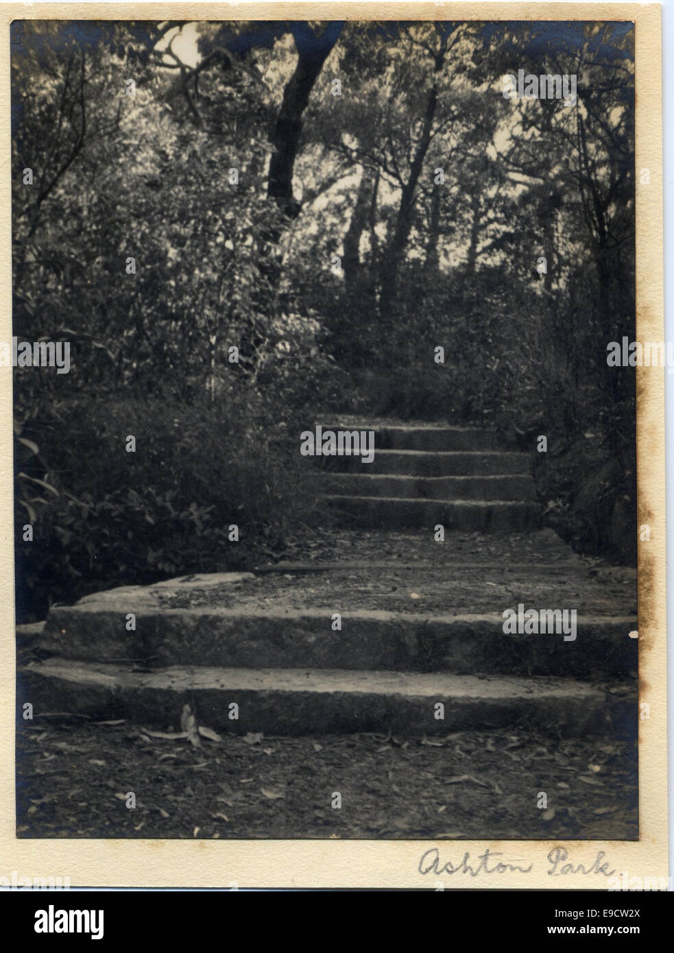 'Ashton Park 3' 13986980481 o Stock Photo - Alamy