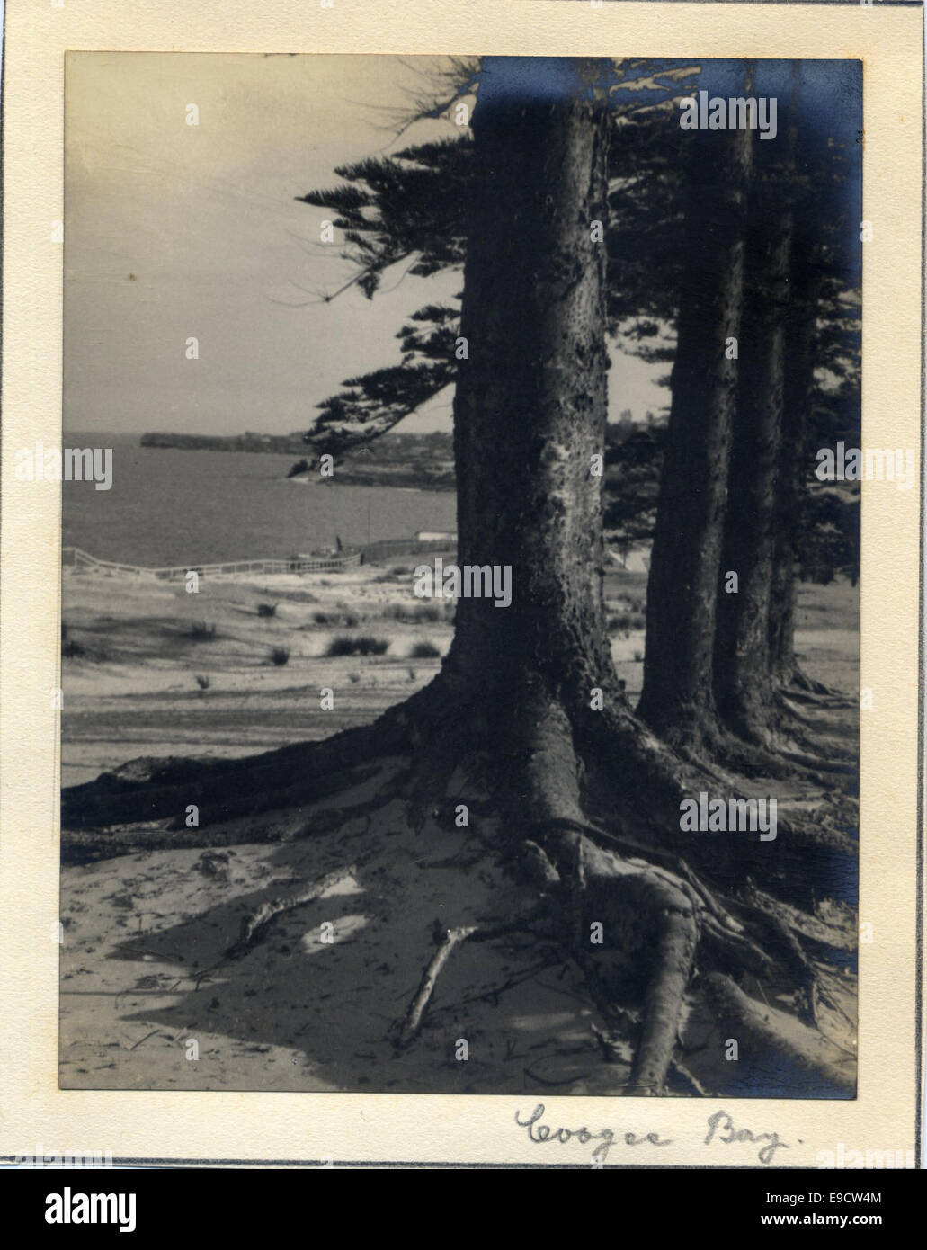 Coogee beach vintage hi-res stock photography and images - Alamy