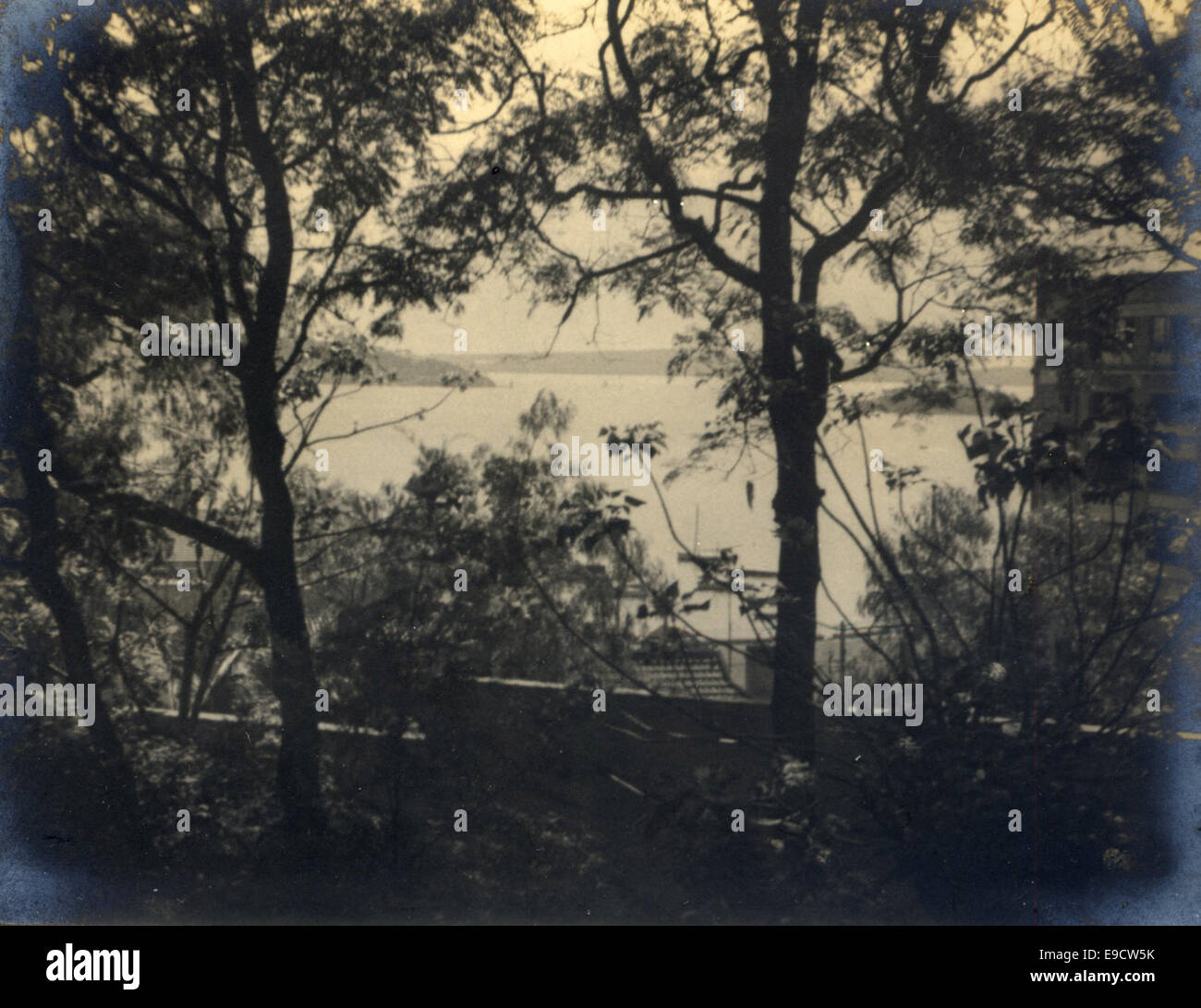 A photograph of Elizabeth Bay, likely depicting the scenic bay area in ...