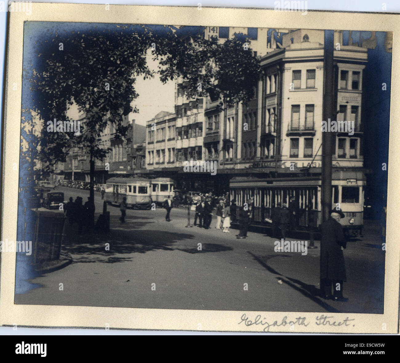This image depicts Elizabeth Street, a major thoroughfare in Sydney ...