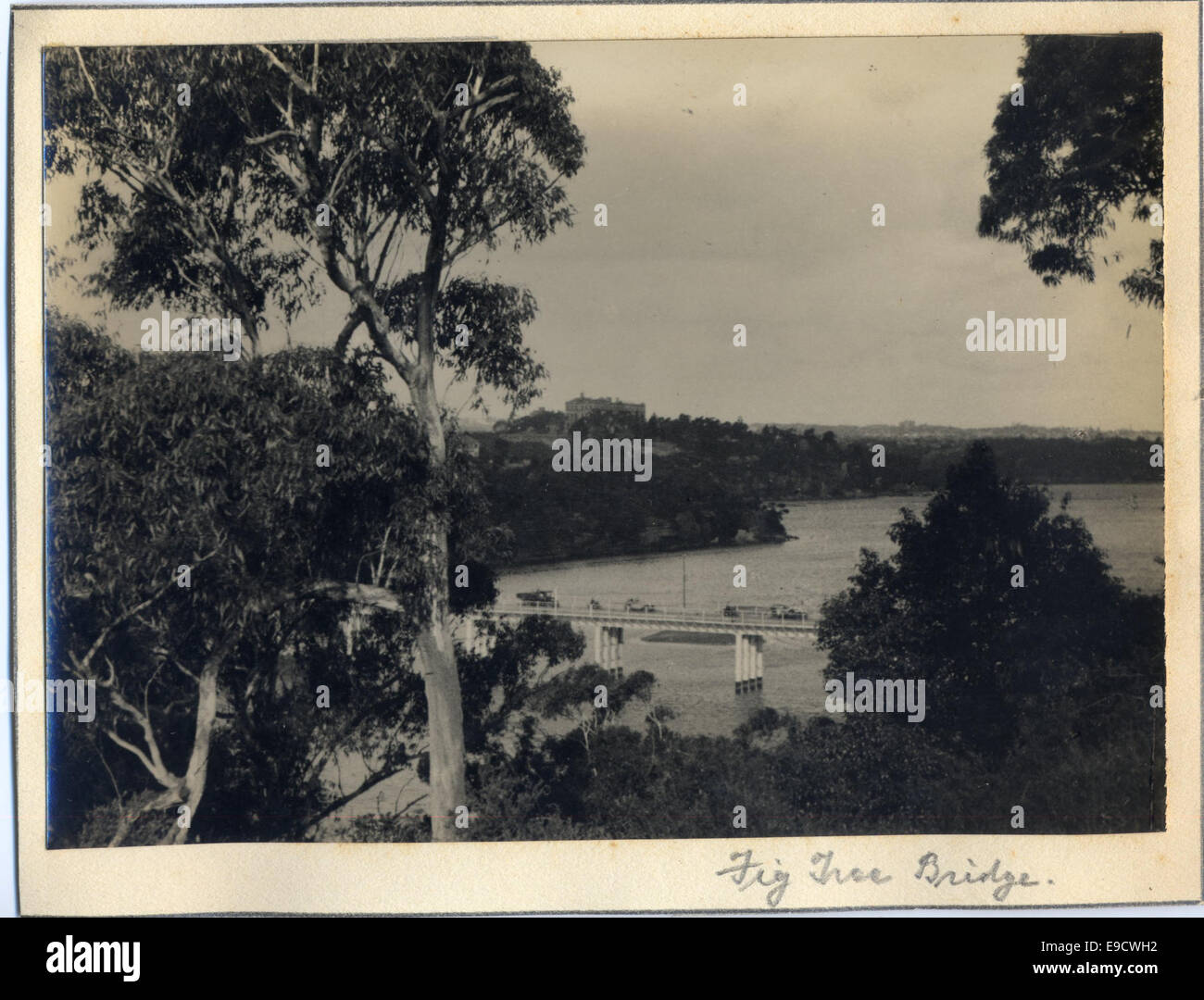 This photograph shows the 'Fig Tree Bridge,' a notable bridge ...