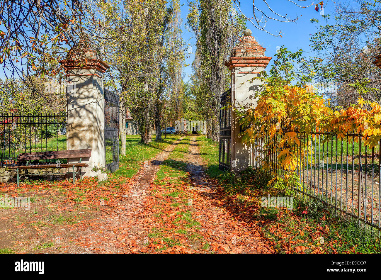 Fallen Leaves Gate Road Tree High Resolution Stock Photography and ...