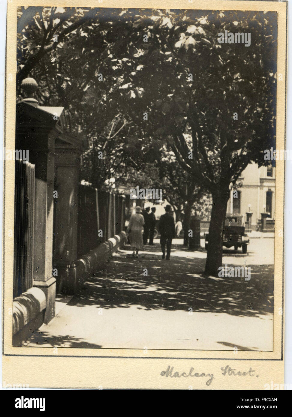 Macleay street hi-res stock photography and images - Alamy