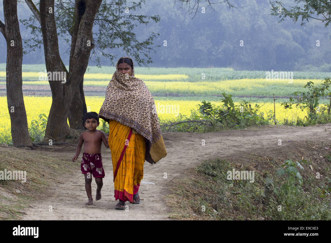 Bengali women walking High Resolution Stock Photography and Images - Alamy