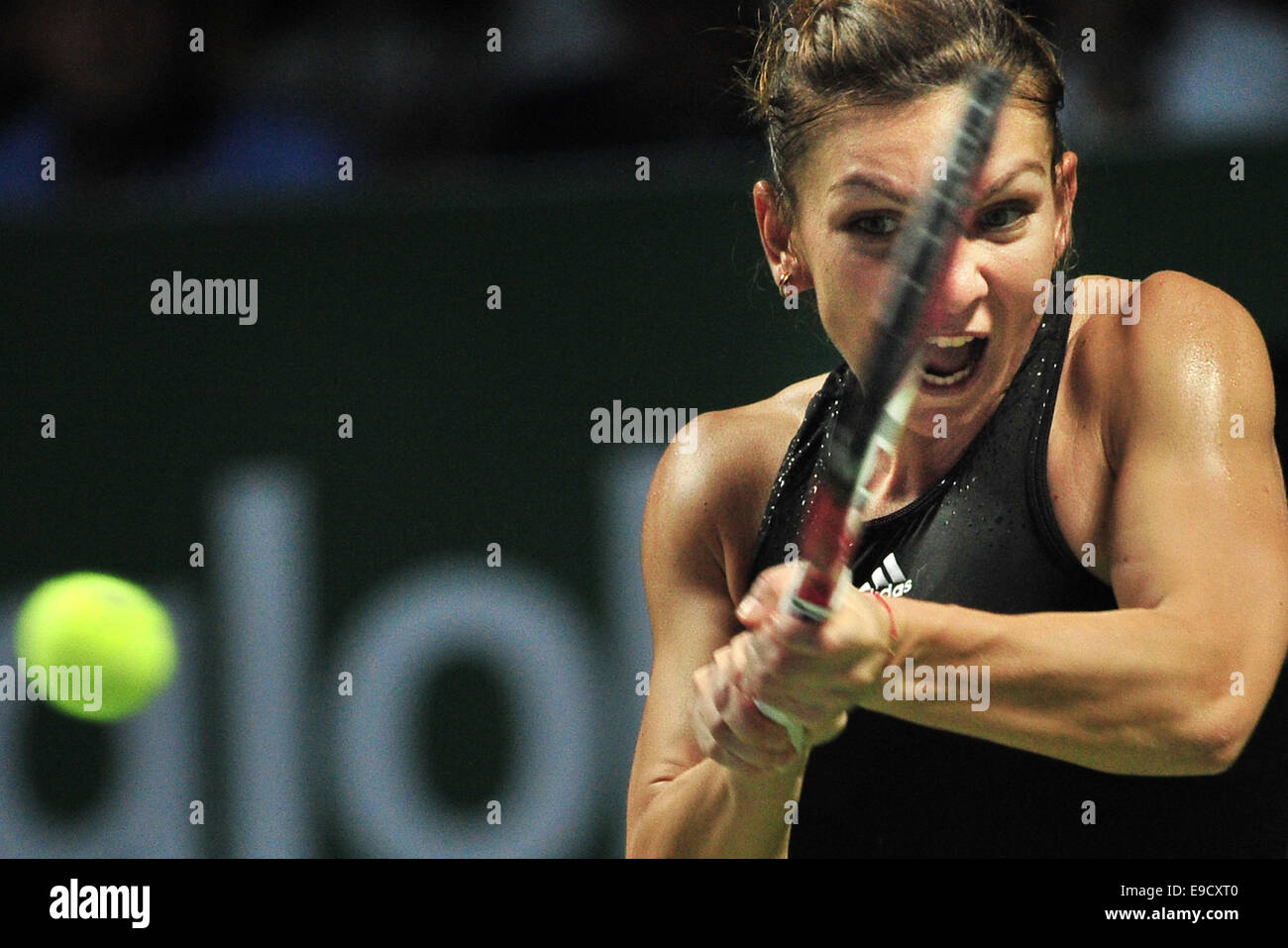 Singapore. 25th Oct, 2014. Romania's Simona Halep hits a return during ...