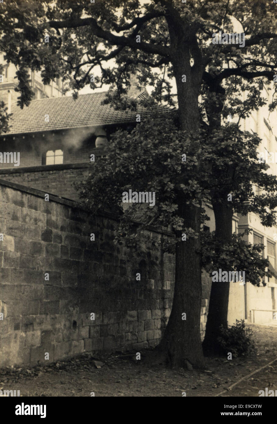 A photograph capturing 'The Wall', possibly referencing a notable ...