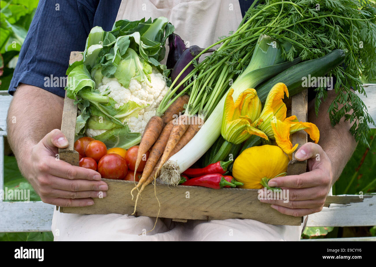 Vegetables in a box hi-res stock photography and images - Alamy