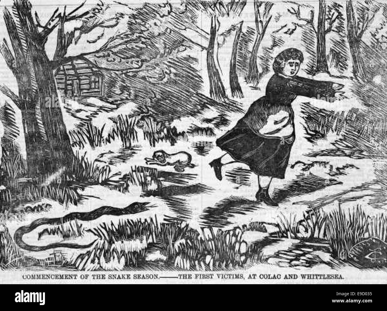 A photograph depicting the commencement of snake season in 1877, taken ...