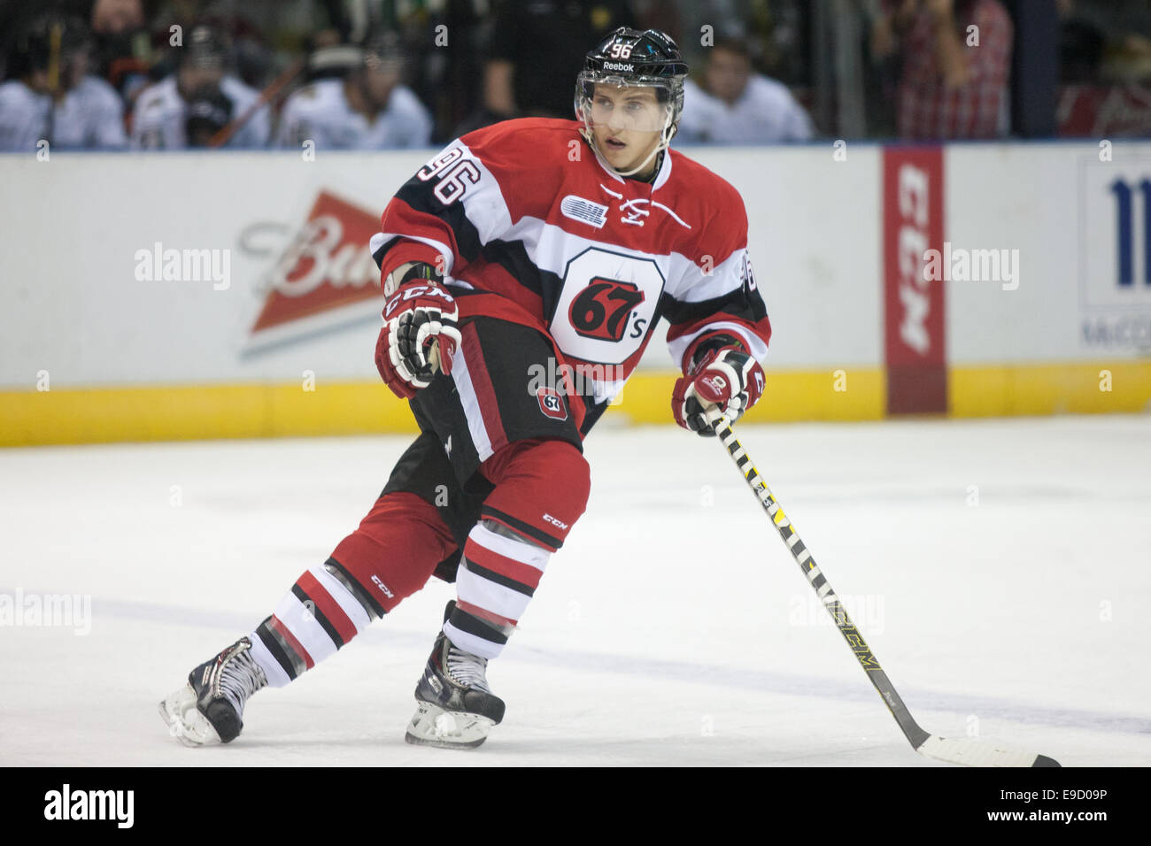 Dante salituro hi-res stock photography and images - Alamy