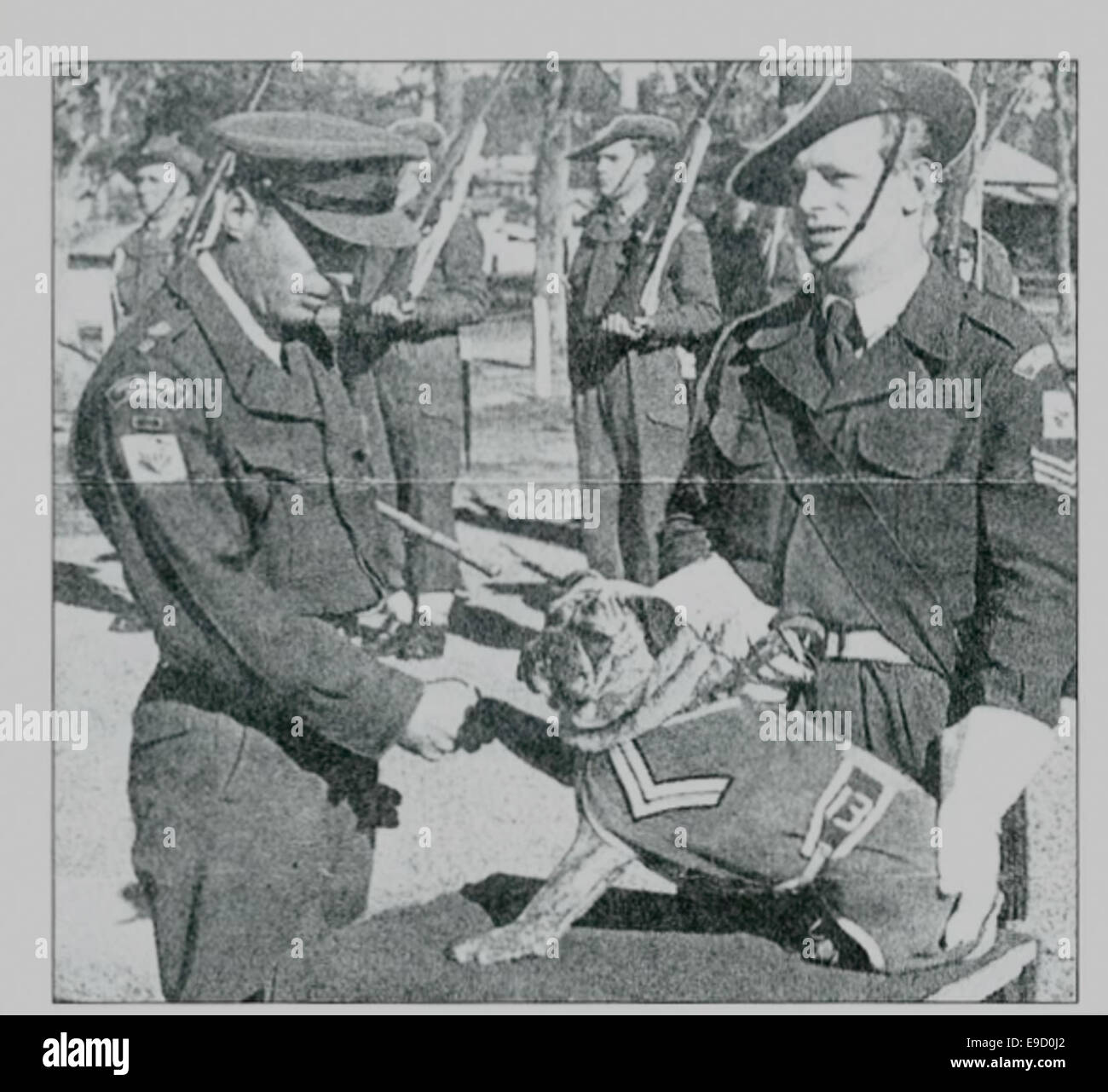 A photograph of Lieutenant Colonel Ferguson congratulating a member of ...