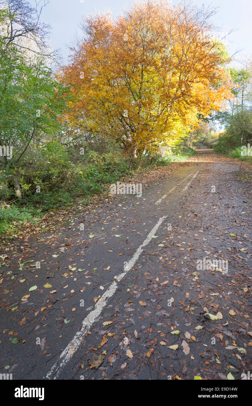 Old Inverness disused coast road in Scotland Stock Photo - Alamy