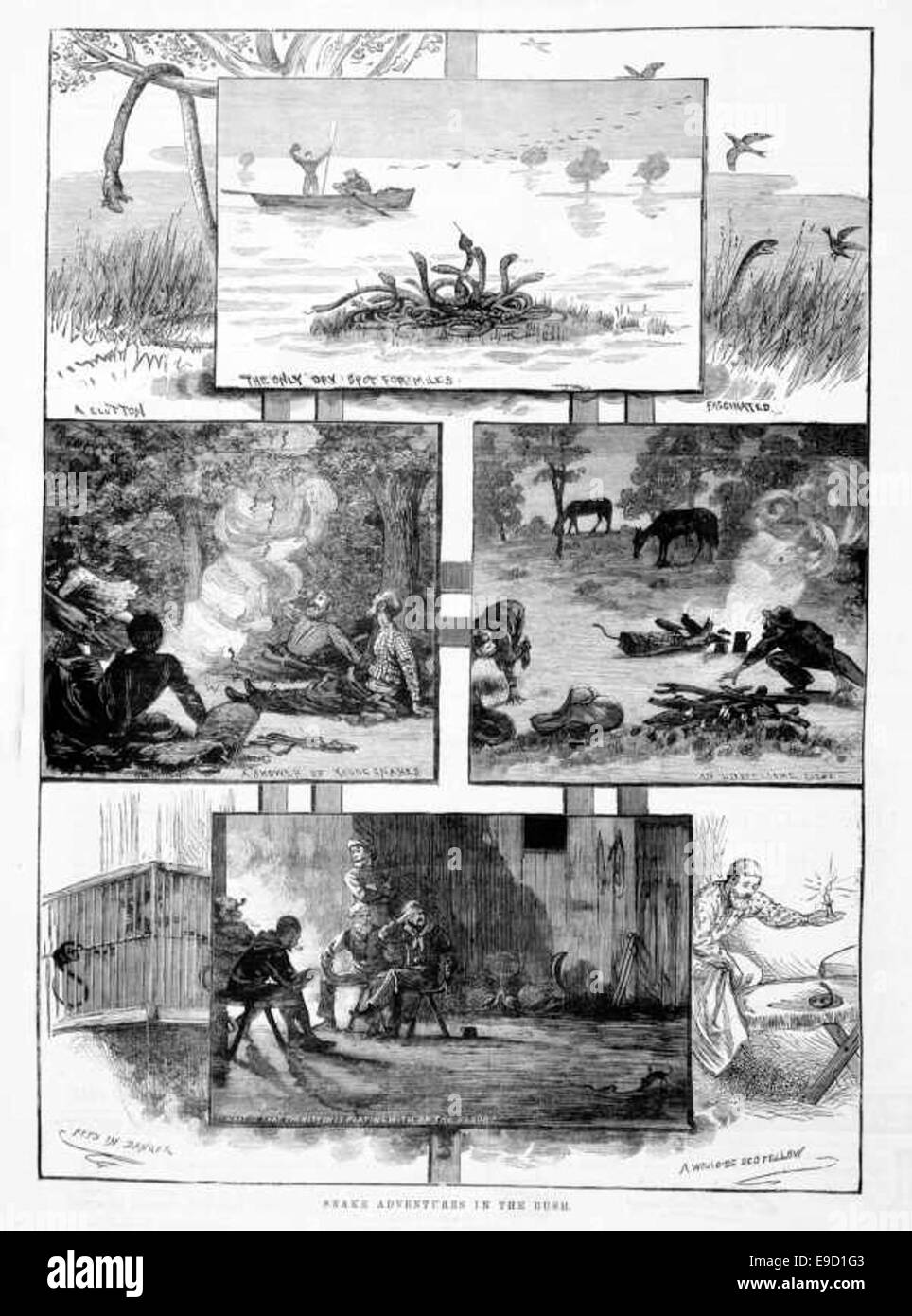 This image from the Illustrated Australian News captures a snake ...