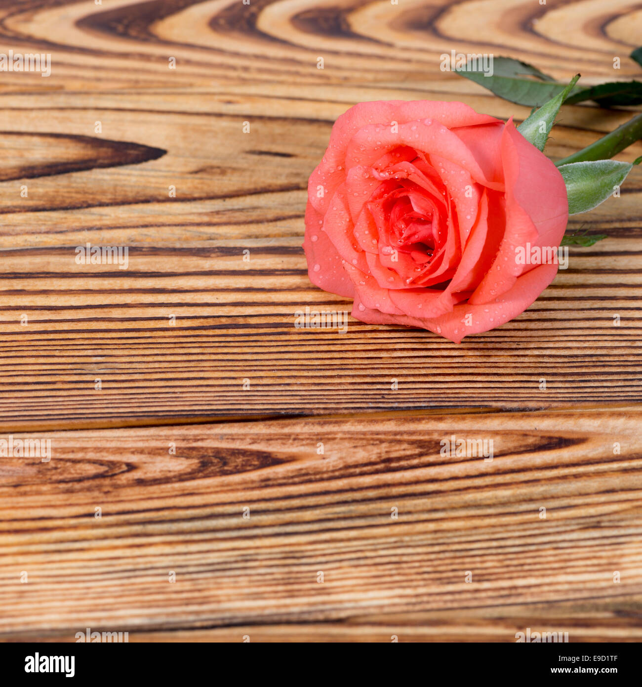 the red roses on wooden background Stock Photo - Alamy