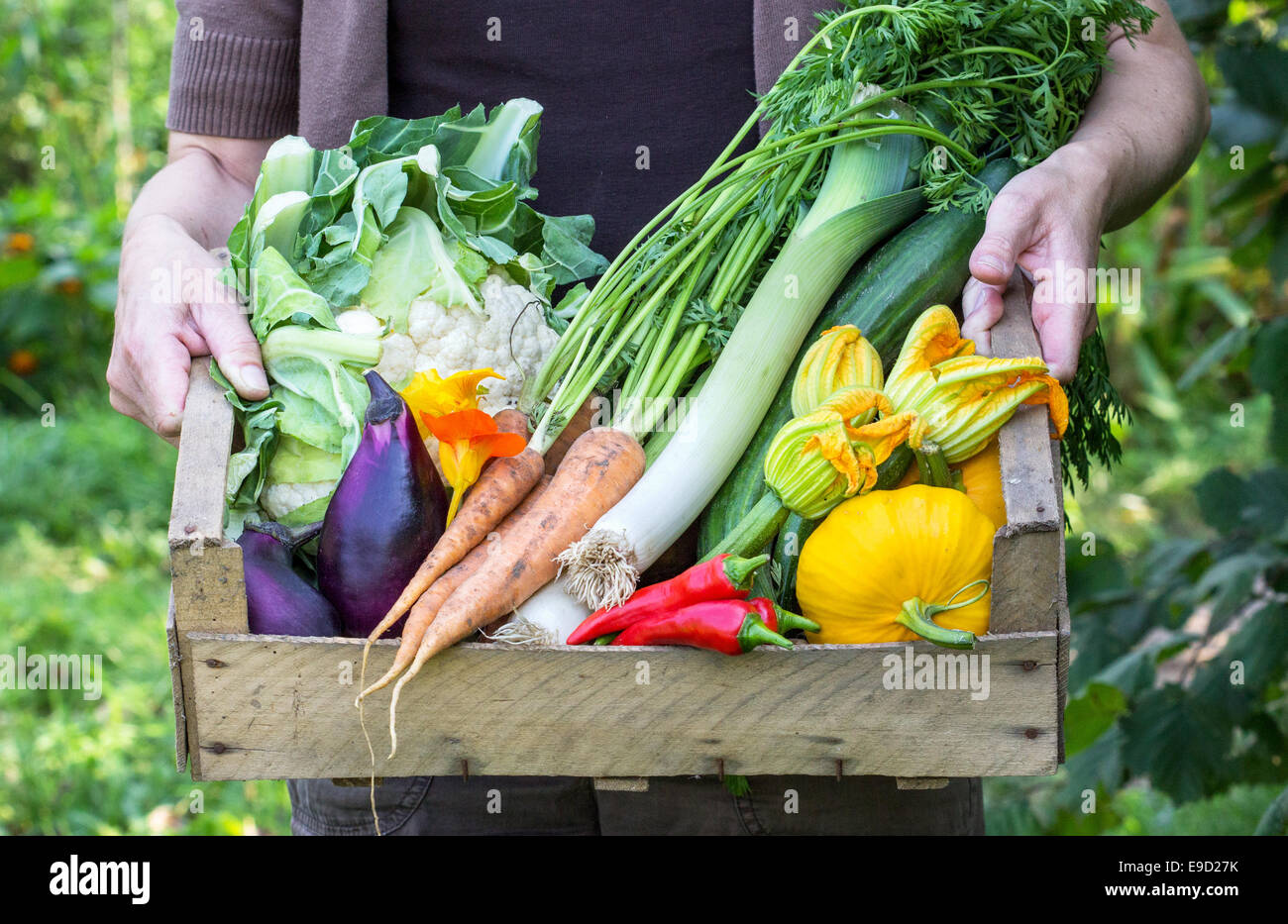 Vegetables in a box hi-res stock photography and images - Alamy