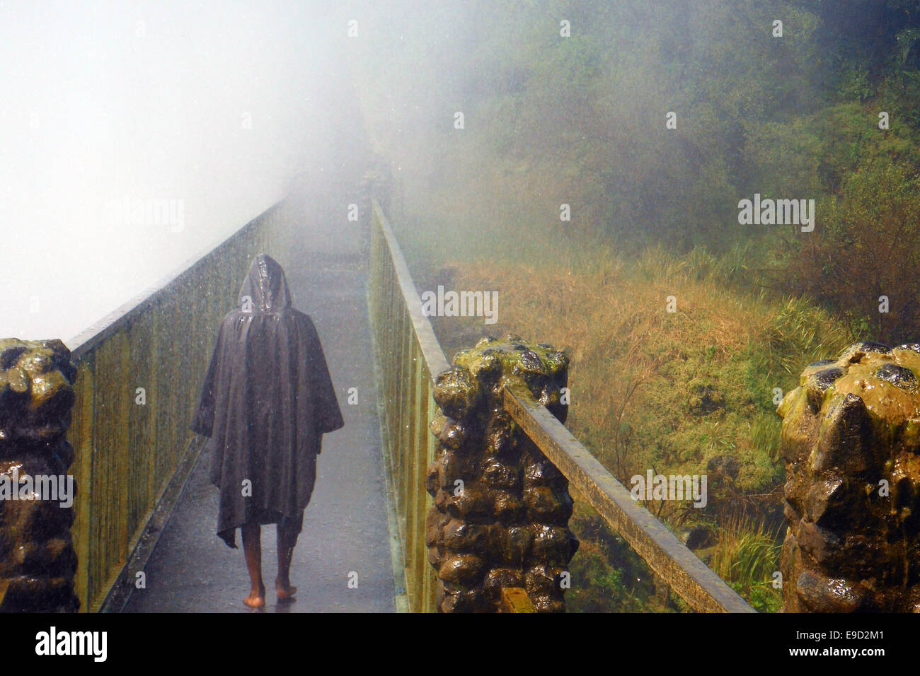 Around Victoria Falls you can walk. Guided Tour of the Victoria Falls ...