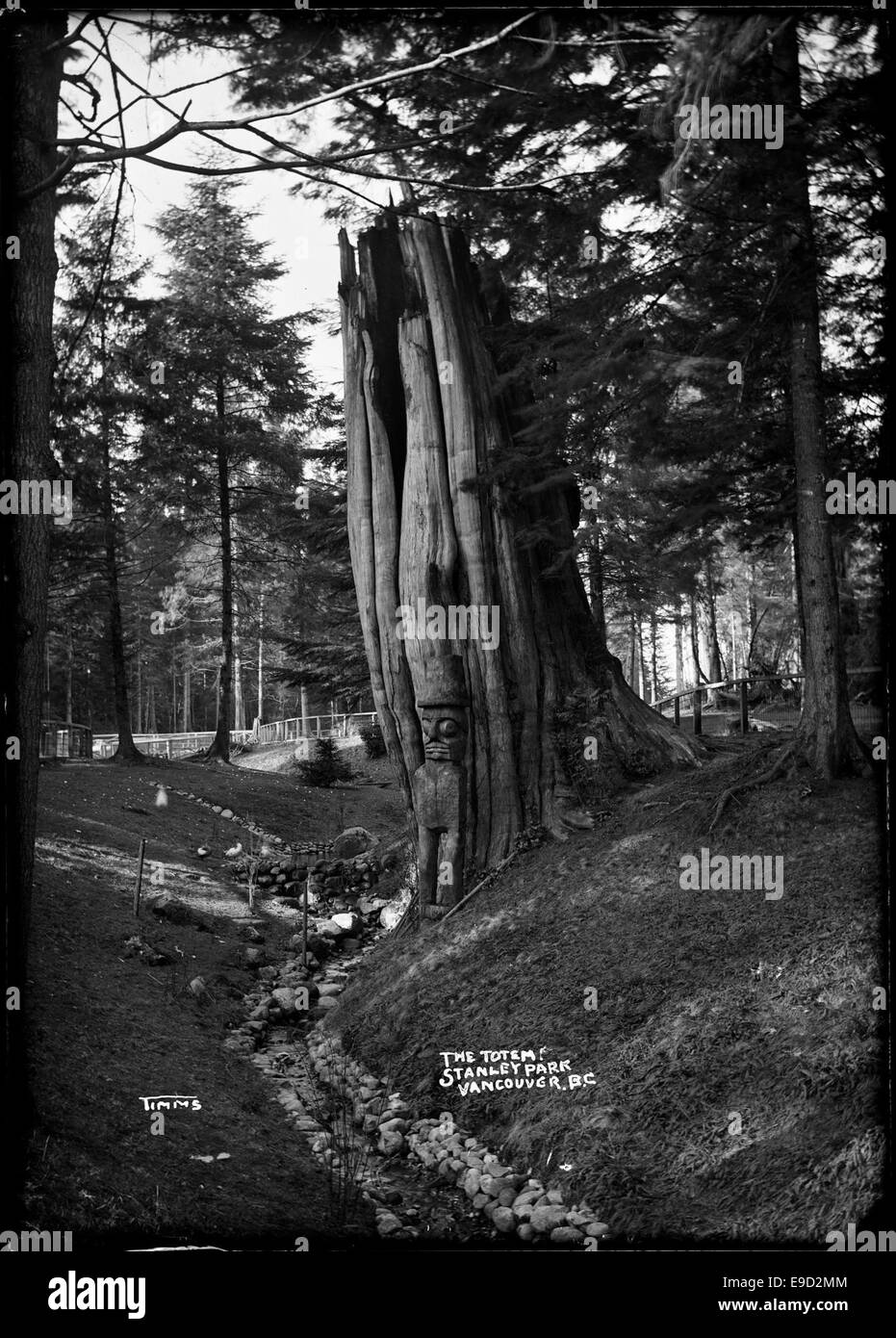 This photograph depicts a totem tree, possibly from the Pacific ...