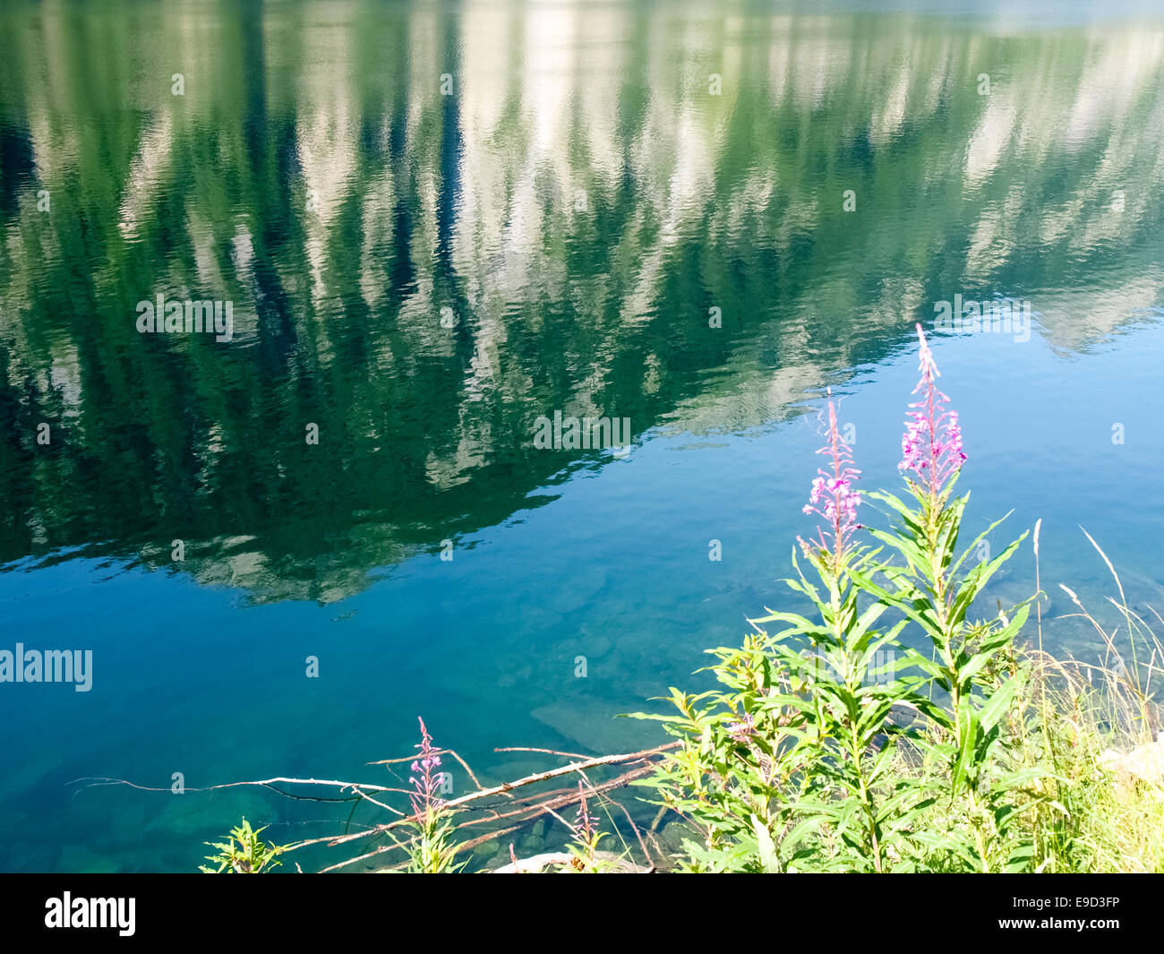 Vallemaggia, Ticino, Switzerland: Lake of elder, Lago del Sambuco Stock ...