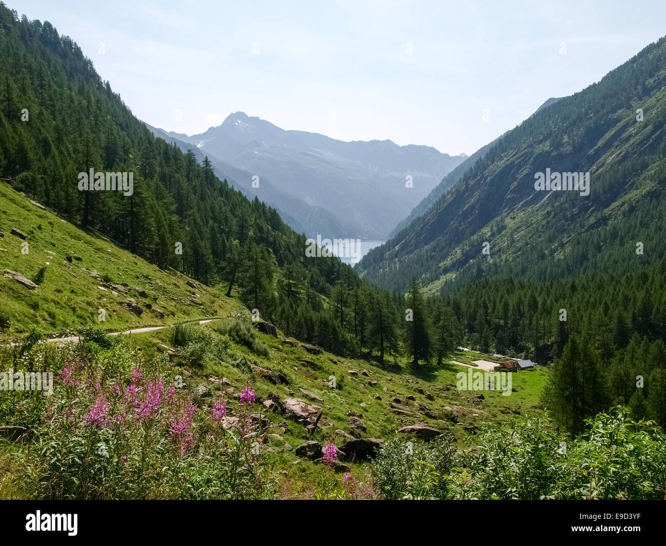 Vallemaggia, Ticino, Switzerland: Lake of elder, Lago del Sambuco Stock ...