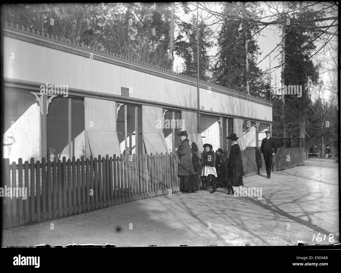 This image shows the Stanley Park Zoo in Vancouver, capturing animals ...