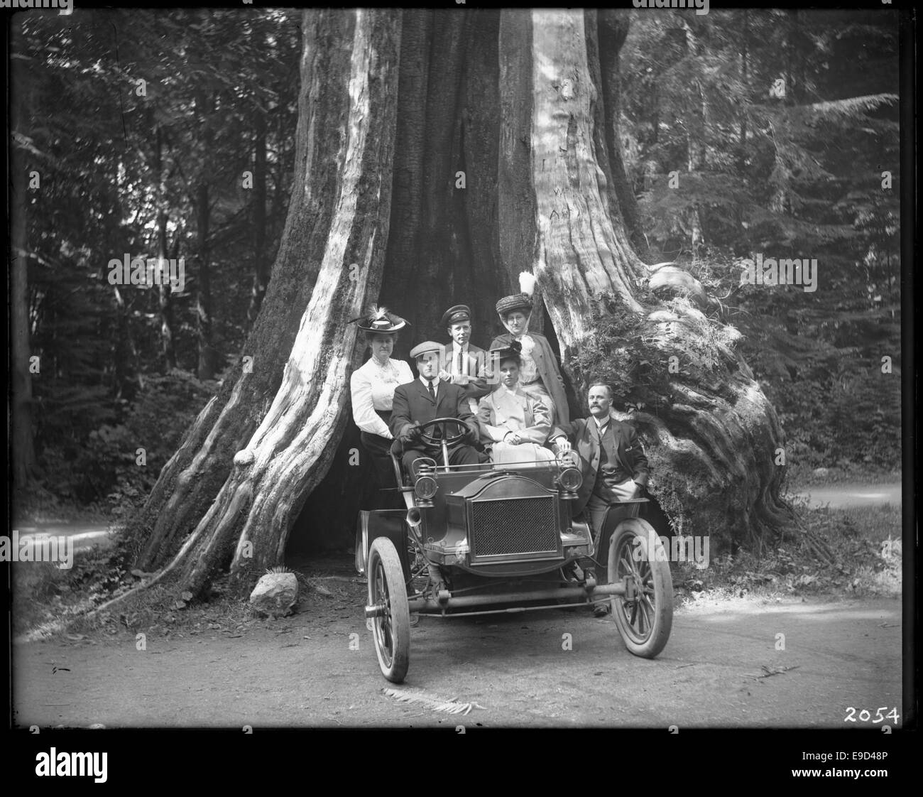 This photograph depicts an individual inside a hollow tree, likely ...