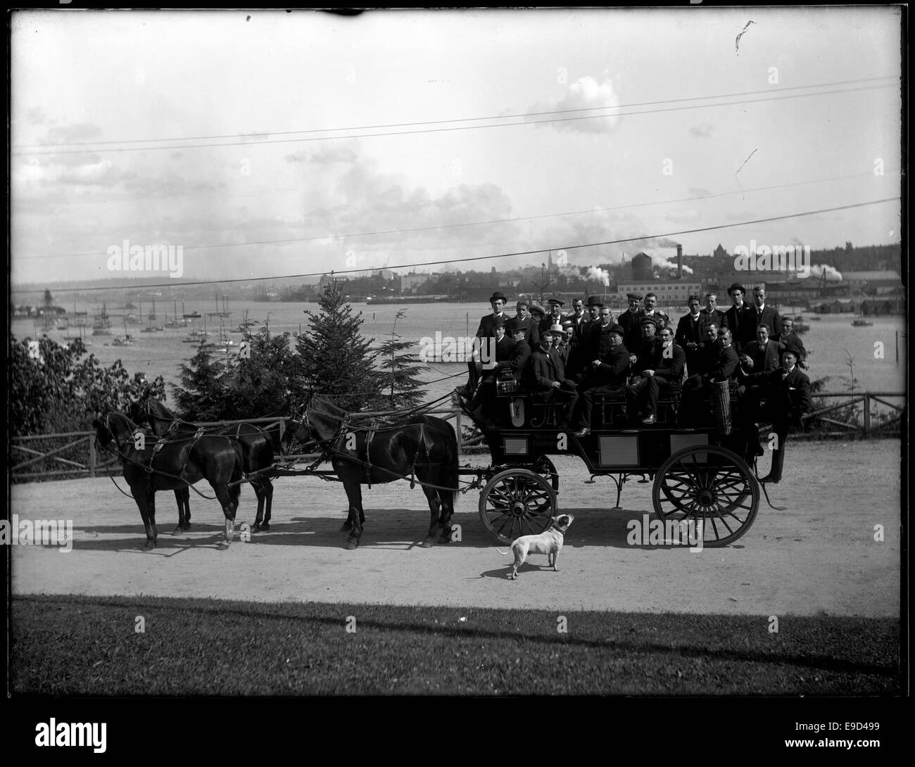 A photograph capturing men riding in a Tally-ho, a traditional horse ...