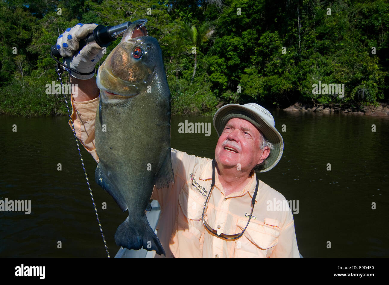 An angler hoists a giant razor-toothed piranha caught in Brazil's Rio ...