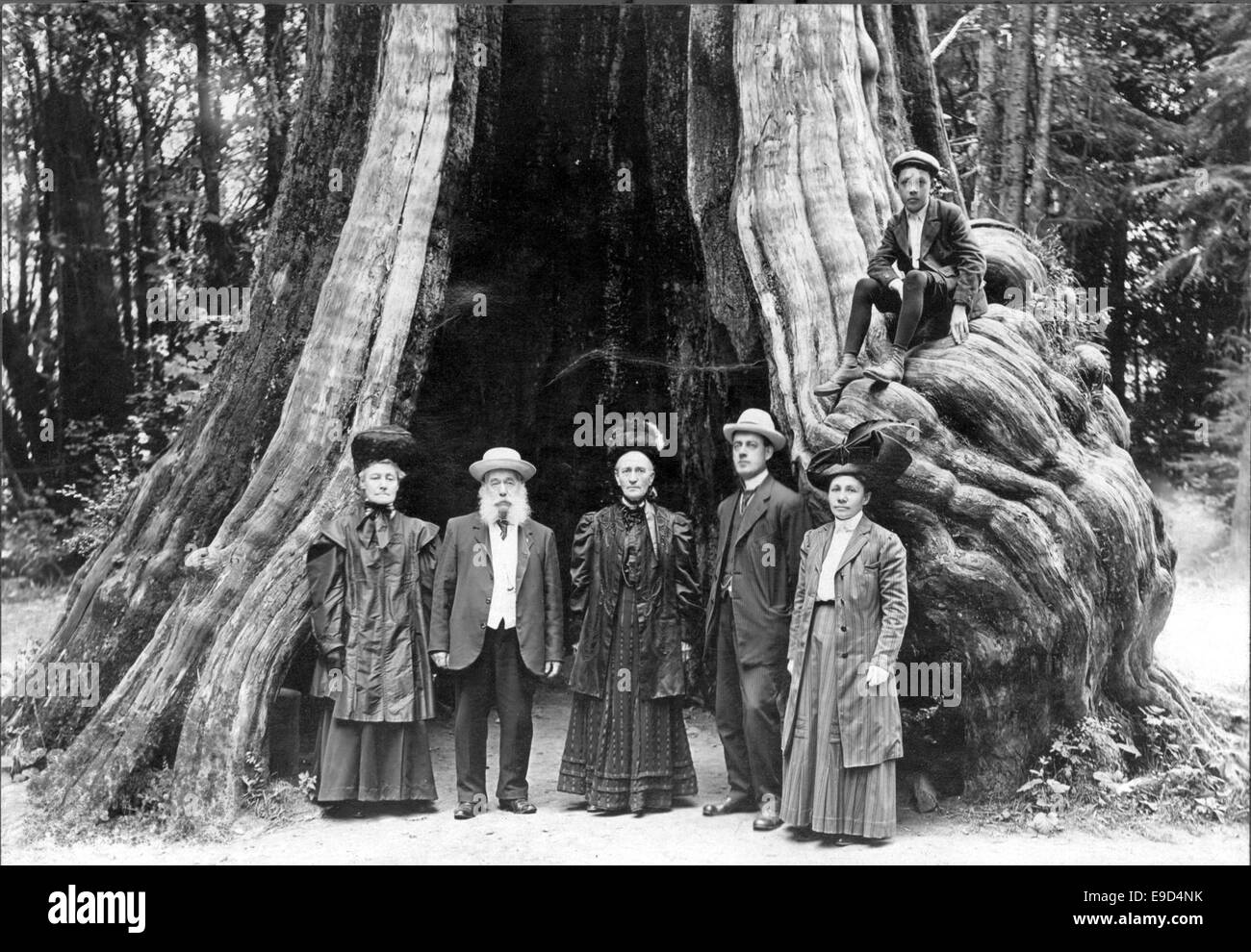 This photograph shows a group of people gathered at the Hollow Tree, a ...