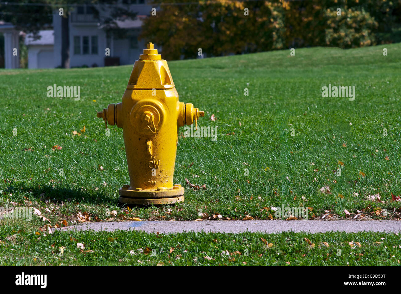 Yellow fire hydrant hi-res stock photography and images - Alamy