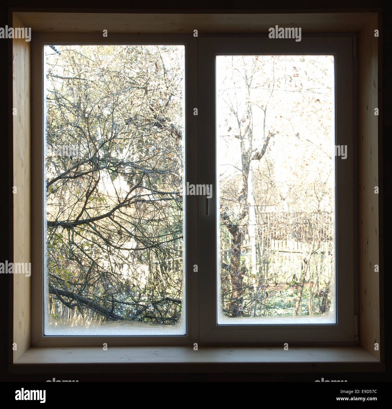 Frost and trees hi-res stock photography and images - Alamy