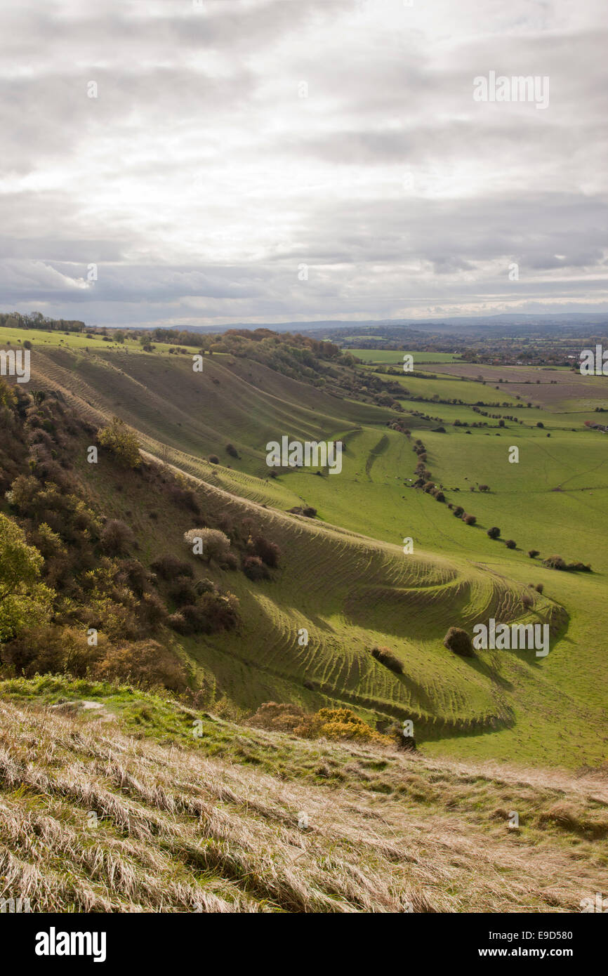 Soil Creep High Resolution Stock Photography and Images - Alamy