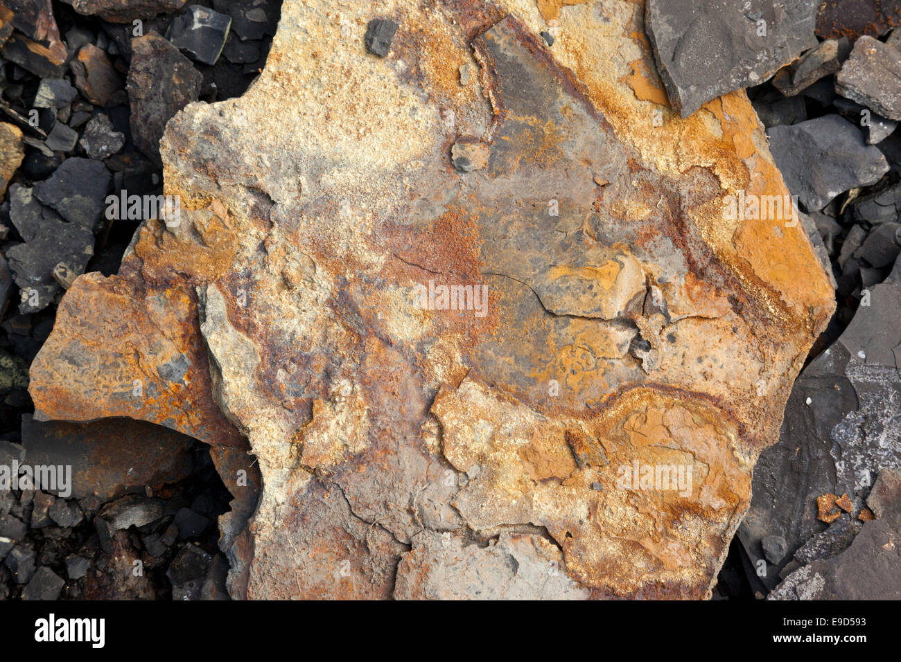 Copper coloured and black rock at Kimmeridge Bay, Dorset, England, UK ...