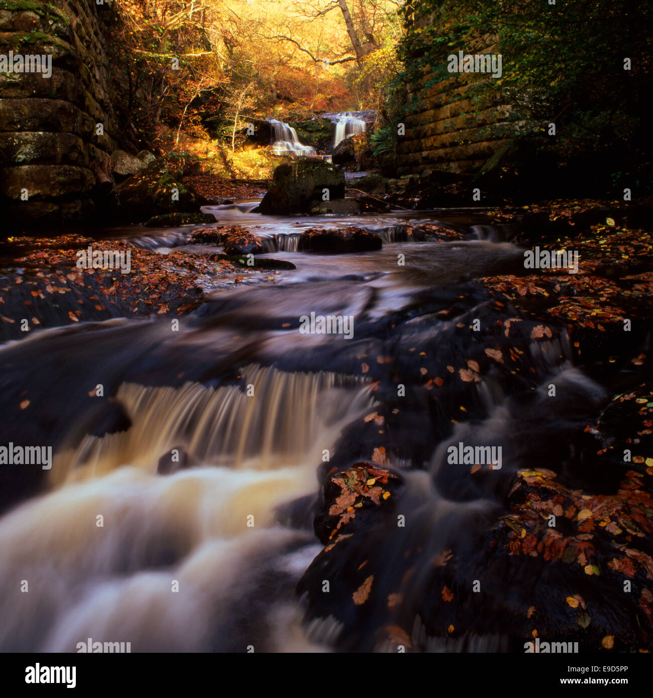 Thomason Foss waterfall North York Moors Yorkshire England photographed ...