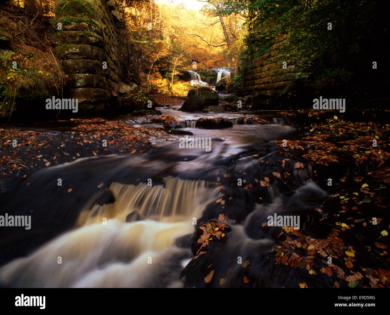 Thomason Foss waterfall North York Moors Yorkshire England photographed ...