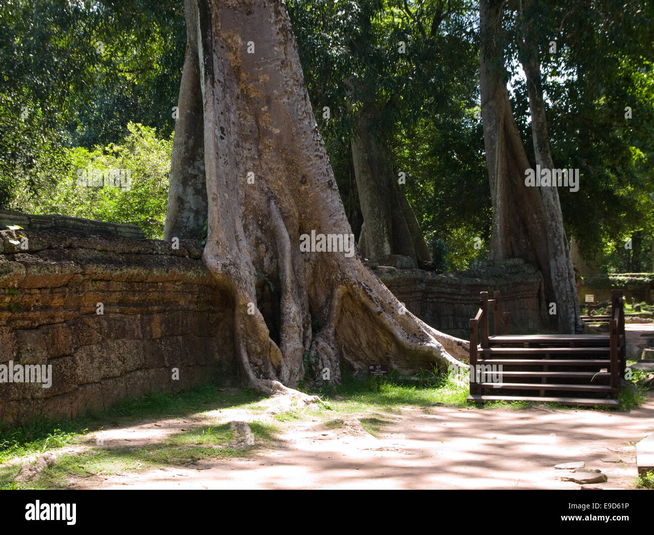 The picture of antient cambodian temple from siem riep Stock Photo - Alamy
