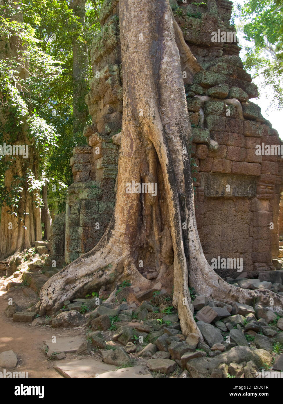 The picture of antient cambodian temple from siem riep Stock Photo - Alamy