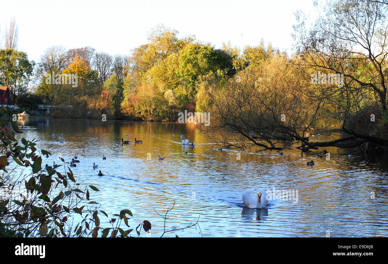 Radwell uk hi-res stock photography and images - Alamy