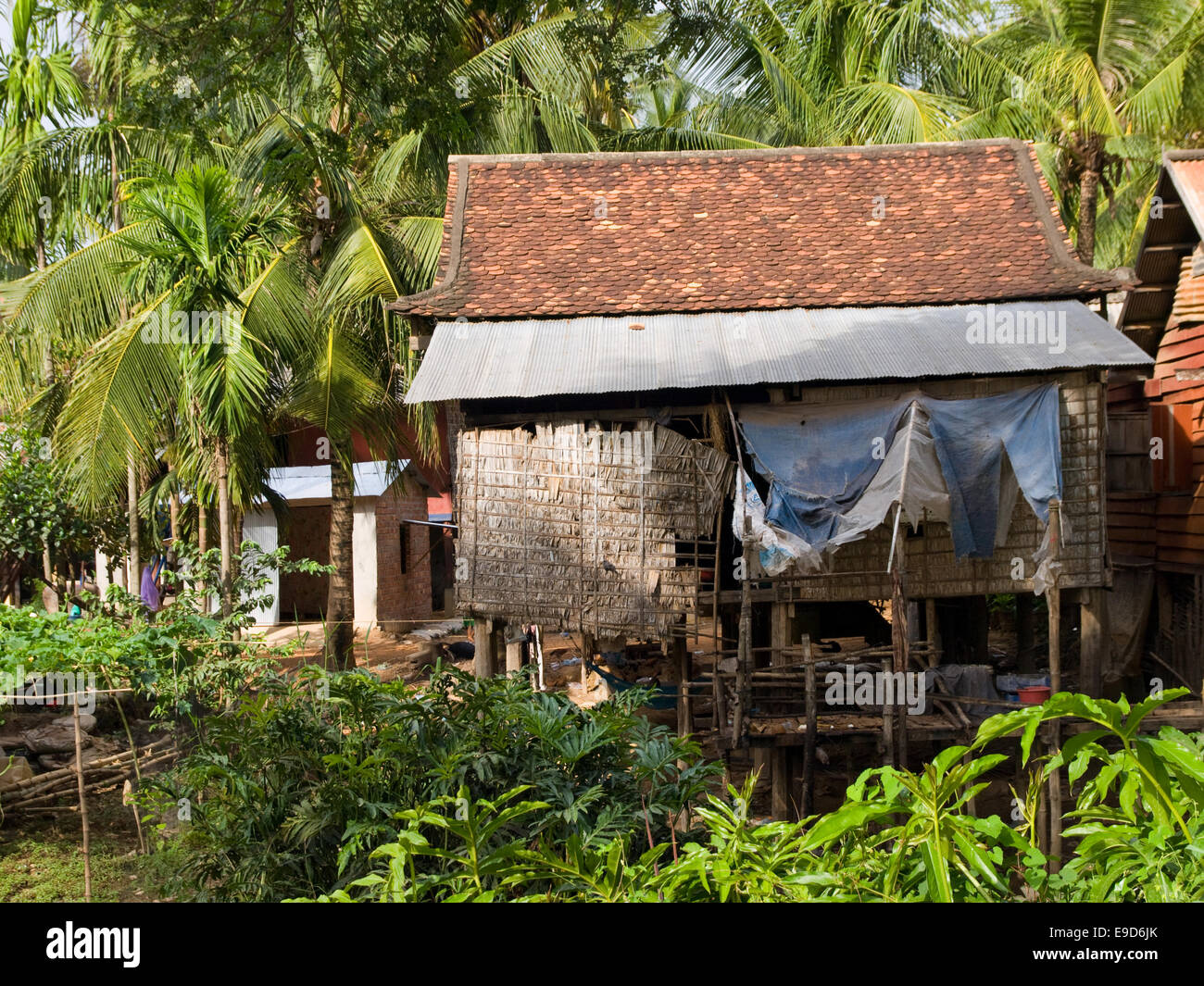 The picture of typical cambodian house next to siem riep Stock Photo ...