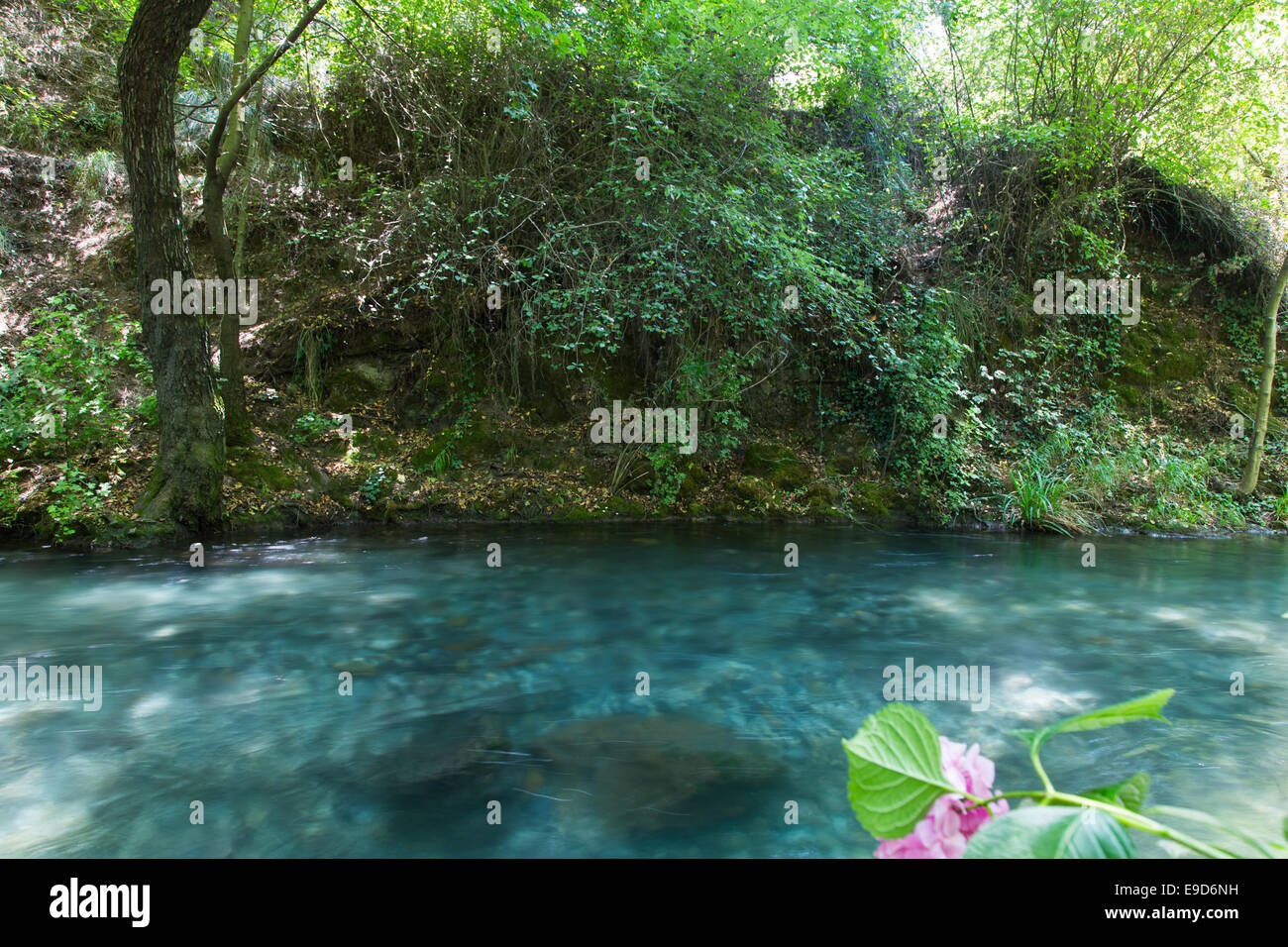 A River is flowing between forest Stock Photo - Alamy