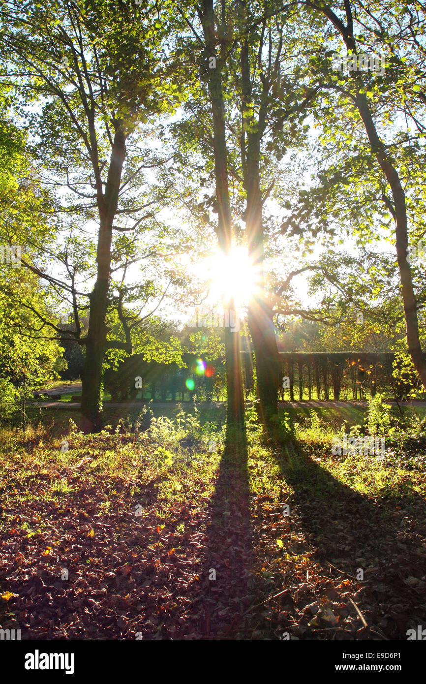 Radwell uk hi-res stock photography and images - Alamy