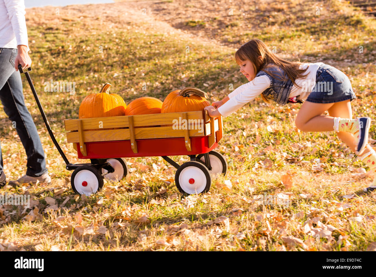 Pulling pumpkin in wagon hi-res stock photography and images - Alamy