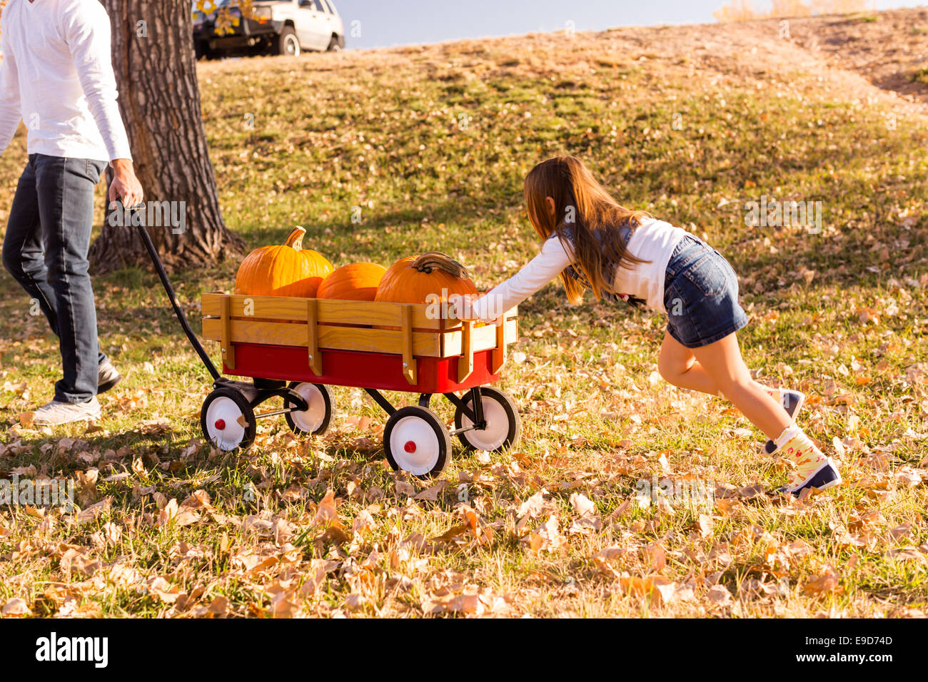 Pulling pumpkin in wagon hi-res stock photography and images - Alamy