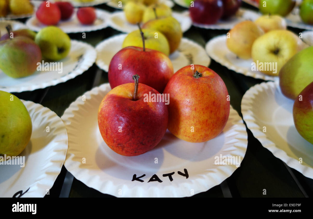 English variety hi-res stock photography and images - Alamy