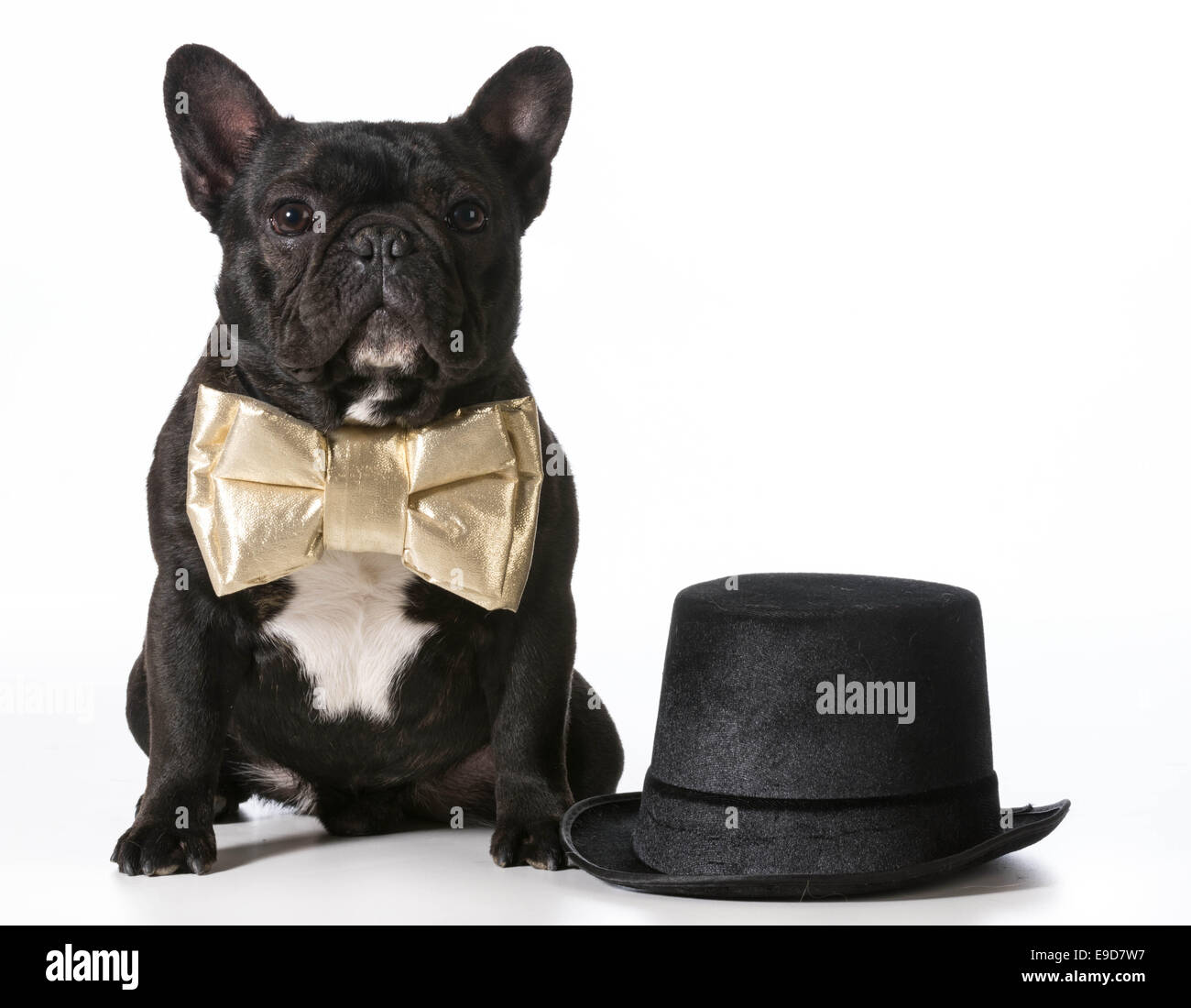 French top hat Cut Out Stock Images & Pictures - Alamy