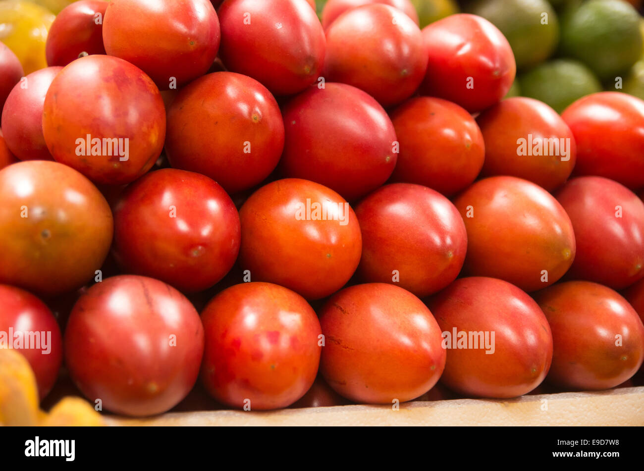 stack of tree tomato tamamoro, tamarillo in the market Stock Photo - Alamy