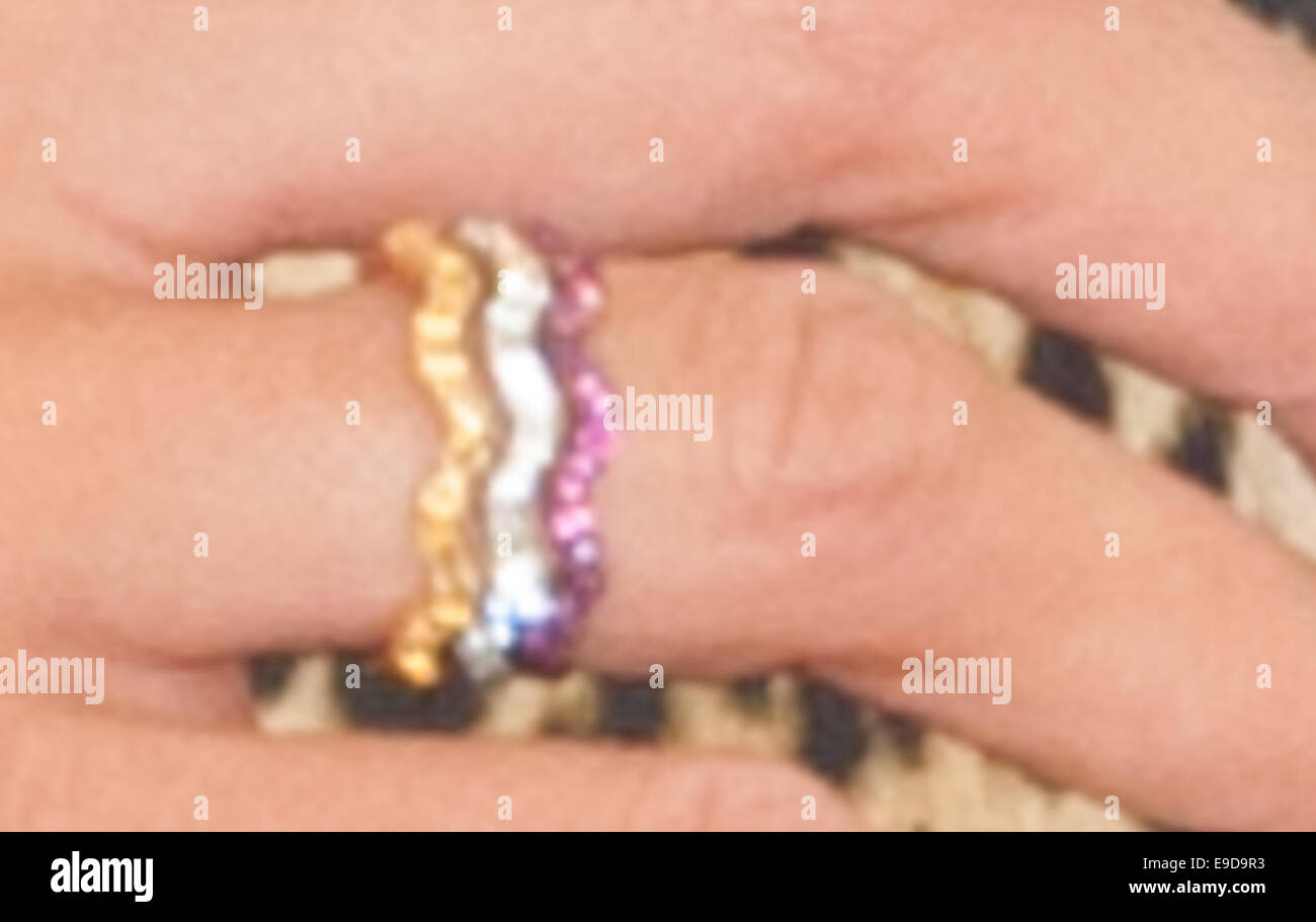 Red Carpet interviews with Howard Stern, Heidi Klum, Mel B., Howie ...