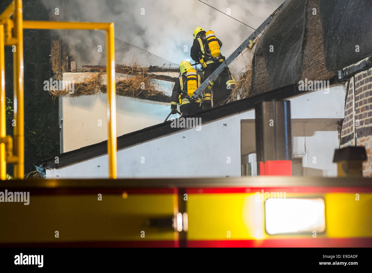 Codford hi-res stock photography and images - Alamy