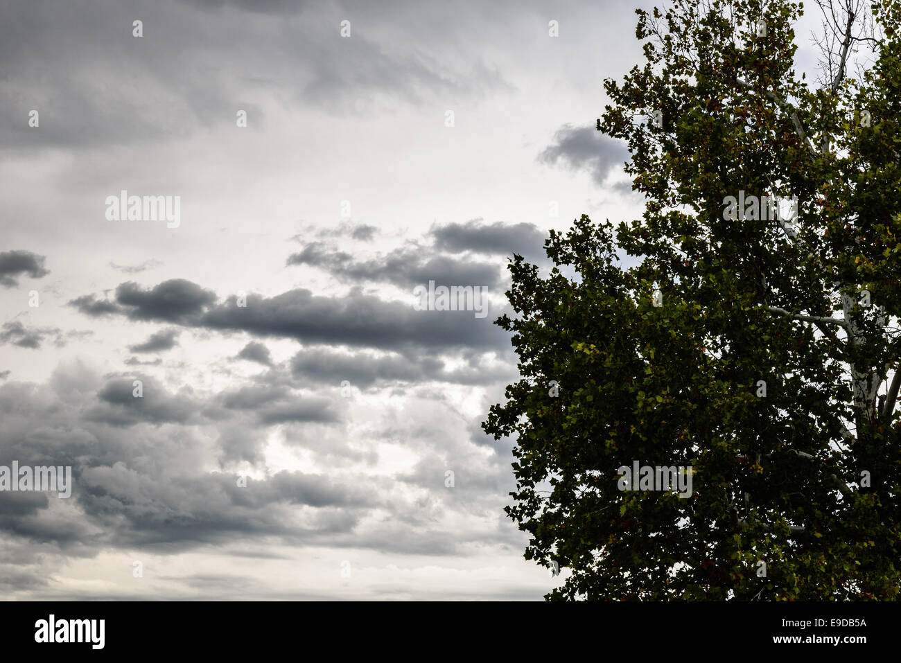 Storm clouds forming over downtown Springfield, Missouri Stock Photo ...