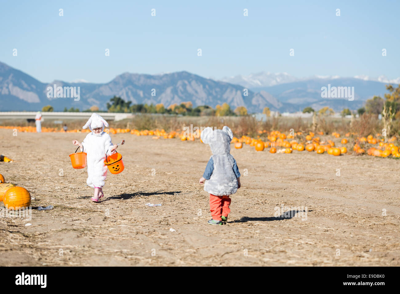 Cute kids in Halloween costumes at the pumpkin patch Stock Photo - Alamy